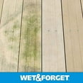 Wet and Forget Moss Mold Mildew & Algae Stain Remover .5 Gallon - 2 ...