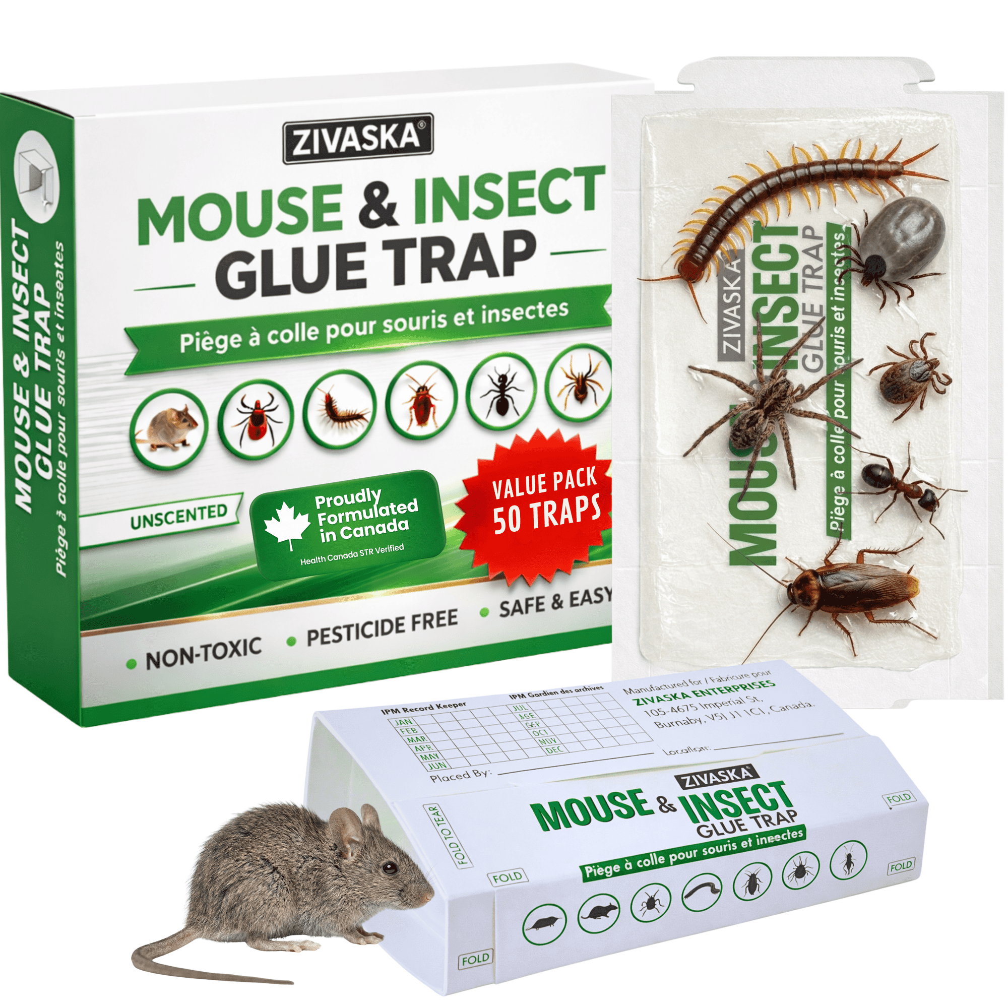 Click here for Zivaska Sticky Mice Traps  Mouse Traps  Insect Glu... prices