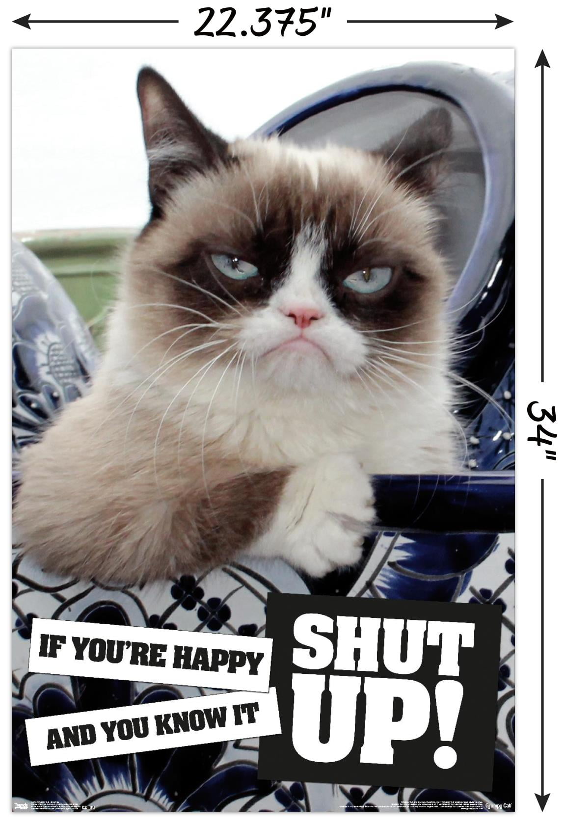 Grumpy Cat Coffee Foam