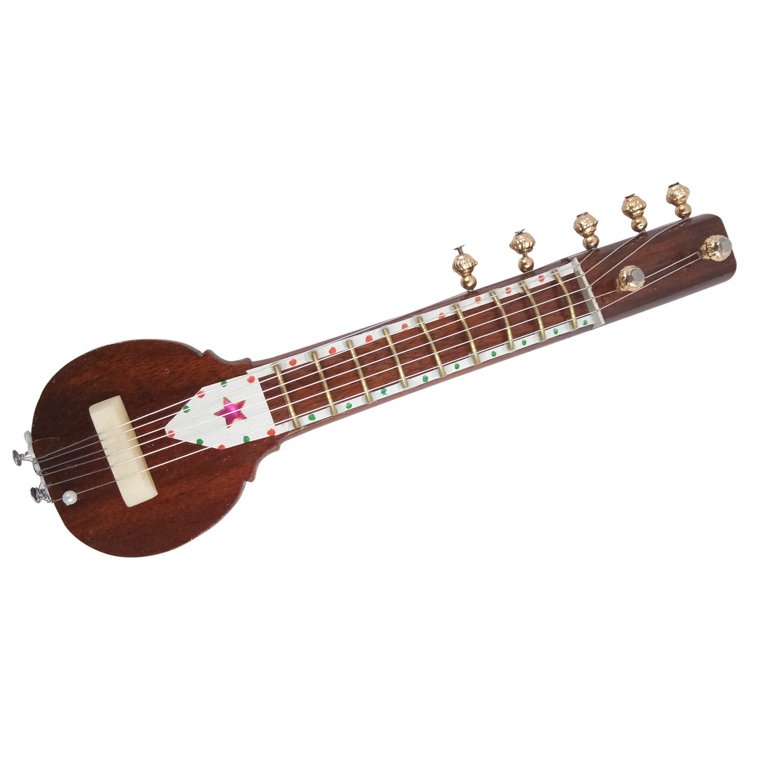 Electric Sarod