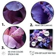 Designart "Serene Midnight: Unveiling Purple Irises" Irises Floater ...