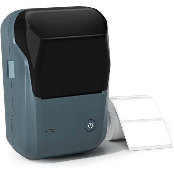 Label Maker, Bluetooth Portable Label Printer with Auto Identification ...
