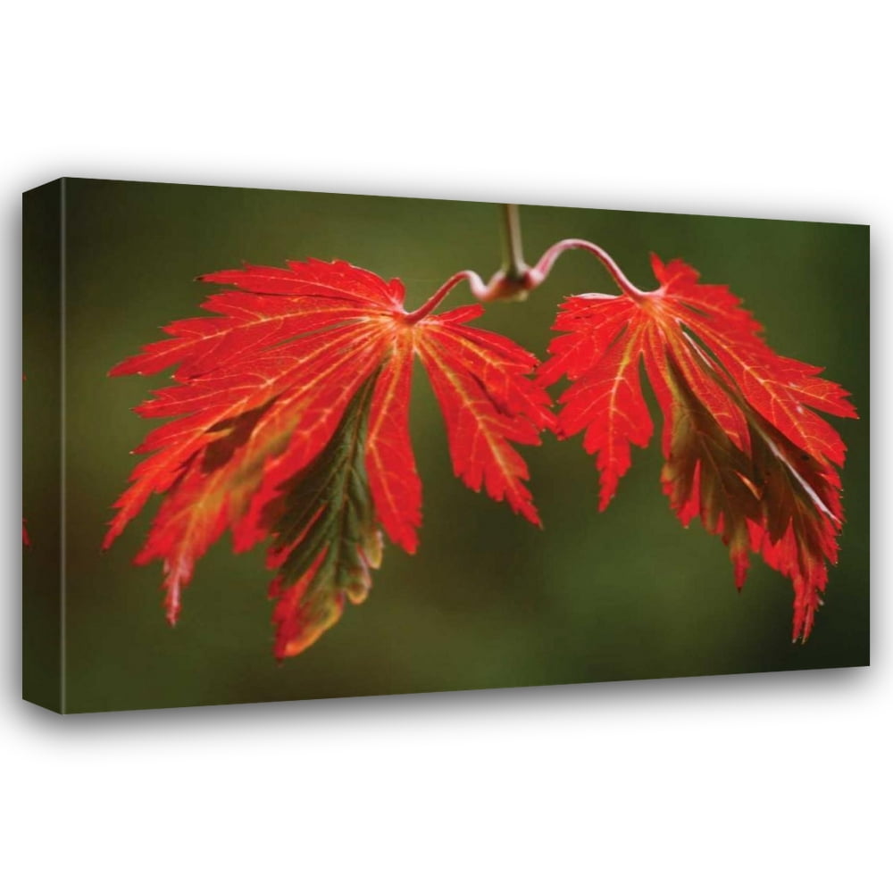 Vitaly Geyman 44x31 Gallery Wrapped Canvas Wall Art Titled - Maple Leaf ...