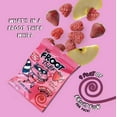 THE FROOT THIEF Real Fruit Whips, Strawberry and Mixed Berry, Vegan ...