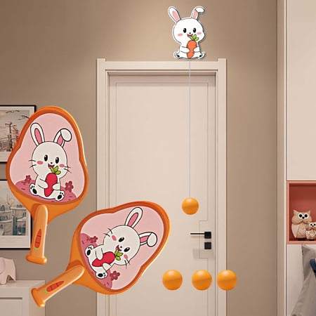 Indoor Hanging Table Tennis Self Training Set with Balls Interaction ...