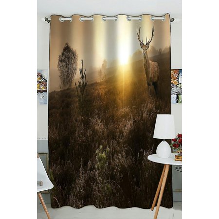 Nature Beautiful Foggy Misty Forest In Autumn Fall With Deer Stag ...