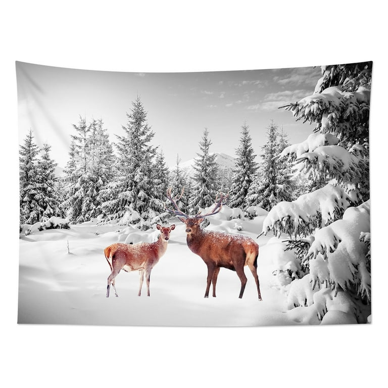 Pictures Of Pine Trees And Deer In Snow