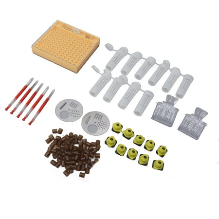 Queen Bee Rearing Box, Queen Bee Rearing Kit High Performance For ...