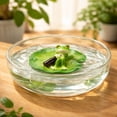 Fuebueo Floating Frog Pool Decor Outdoor, Green Rubber Frog for Pond ...