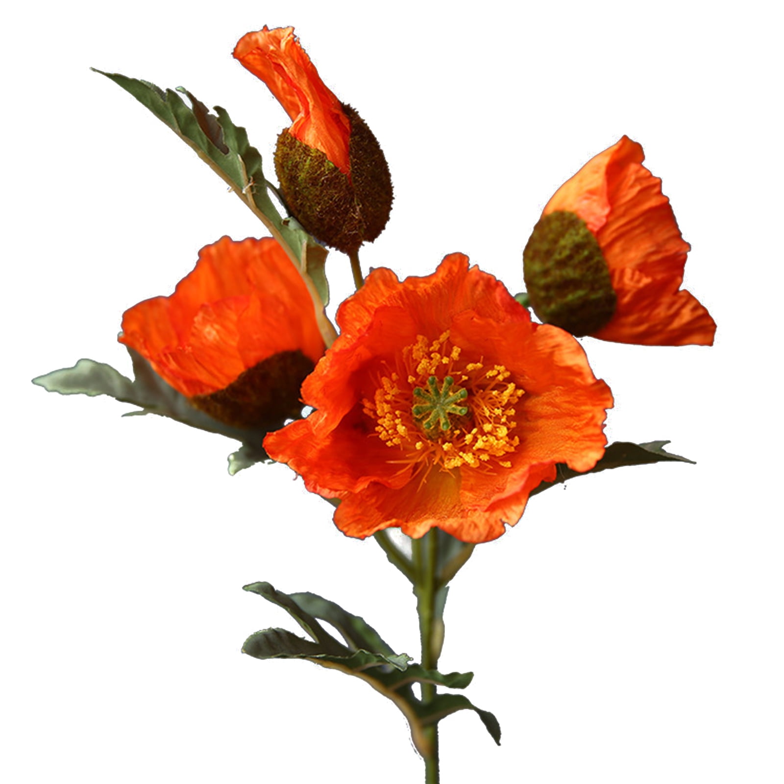 Poppy Simulation Flower Dried Flowers Plastic Cuttings Silk Cloth ...