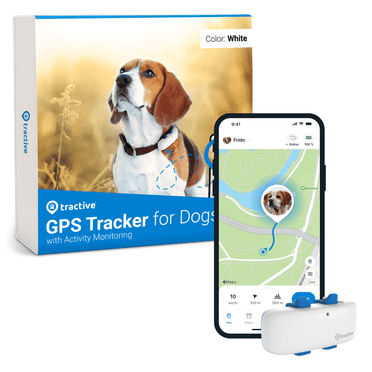 Whistle GO Explore Dog GPS Tracking Device and Pet Health Monitoring ...