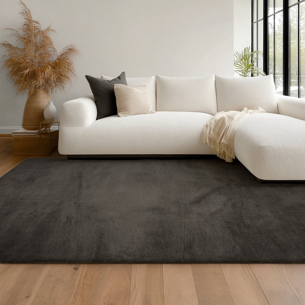 Click here for Ecarpet Argo Machine Washable Plush & Shags Area R... prices