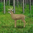 Shooter 3D Big Shooter Buck Target - Walmart.com