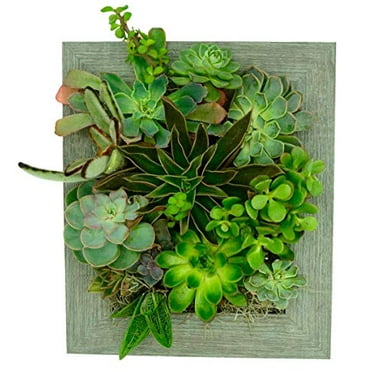 GSky 50110101 Vertical Wall Garden Planter- Square Frame - Walmart.com