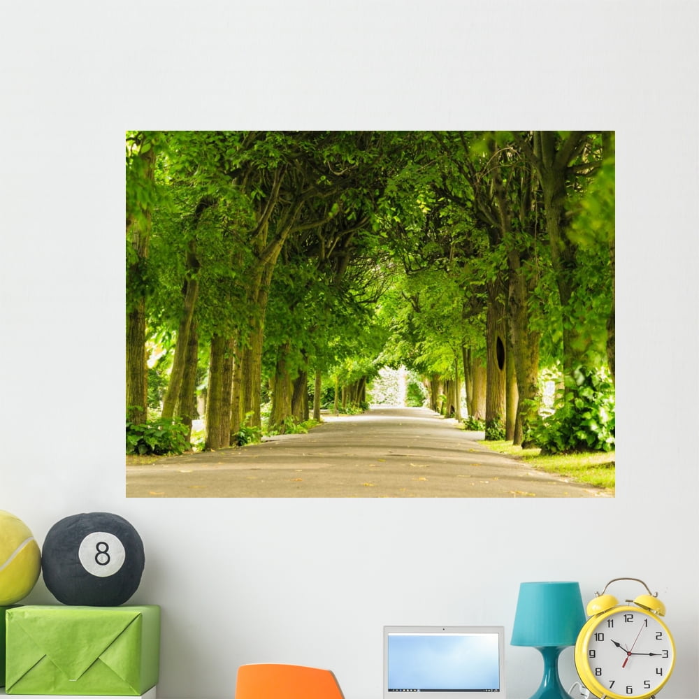 Sidewalk Walking Pavement Park Wall Mural Decal Sticker, Wallmonkeys ...