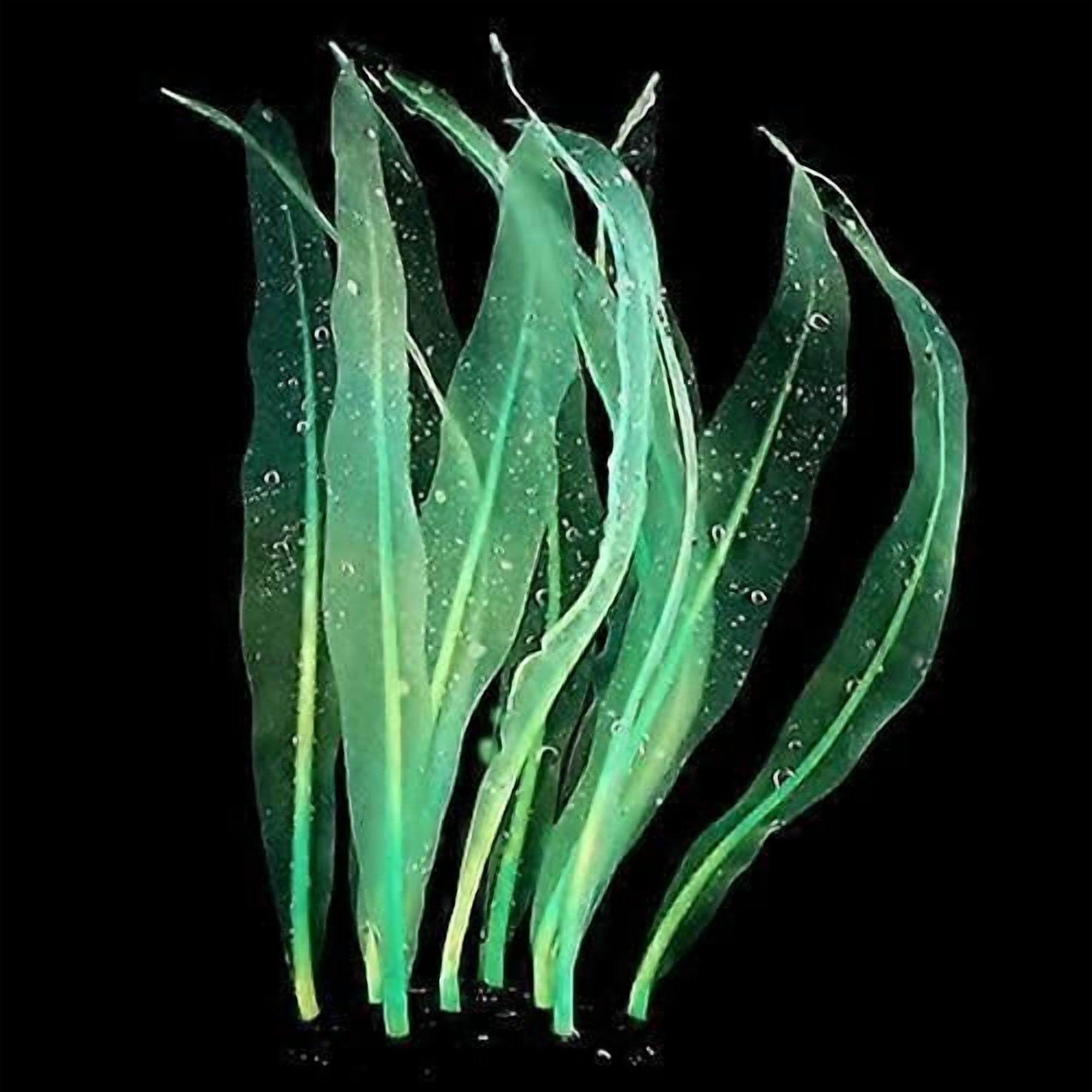 Seaweed Aquarium Decoration Silicone Realistic Colorful Aquatic Plant 7 ...