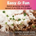 Creativity for Kids Fairy Forest Garden- Child, Beginner Craft Kit for ...