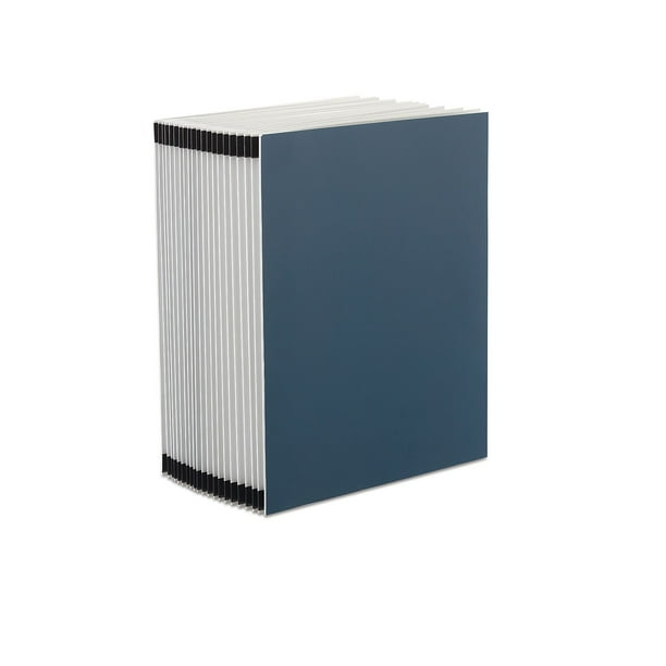 Staples EveryDay Poly General File Sorter Blue (3EDFS) TR119982/119982 ...