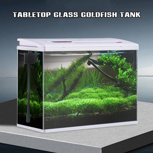 10 Gallon Fish Tank Lid