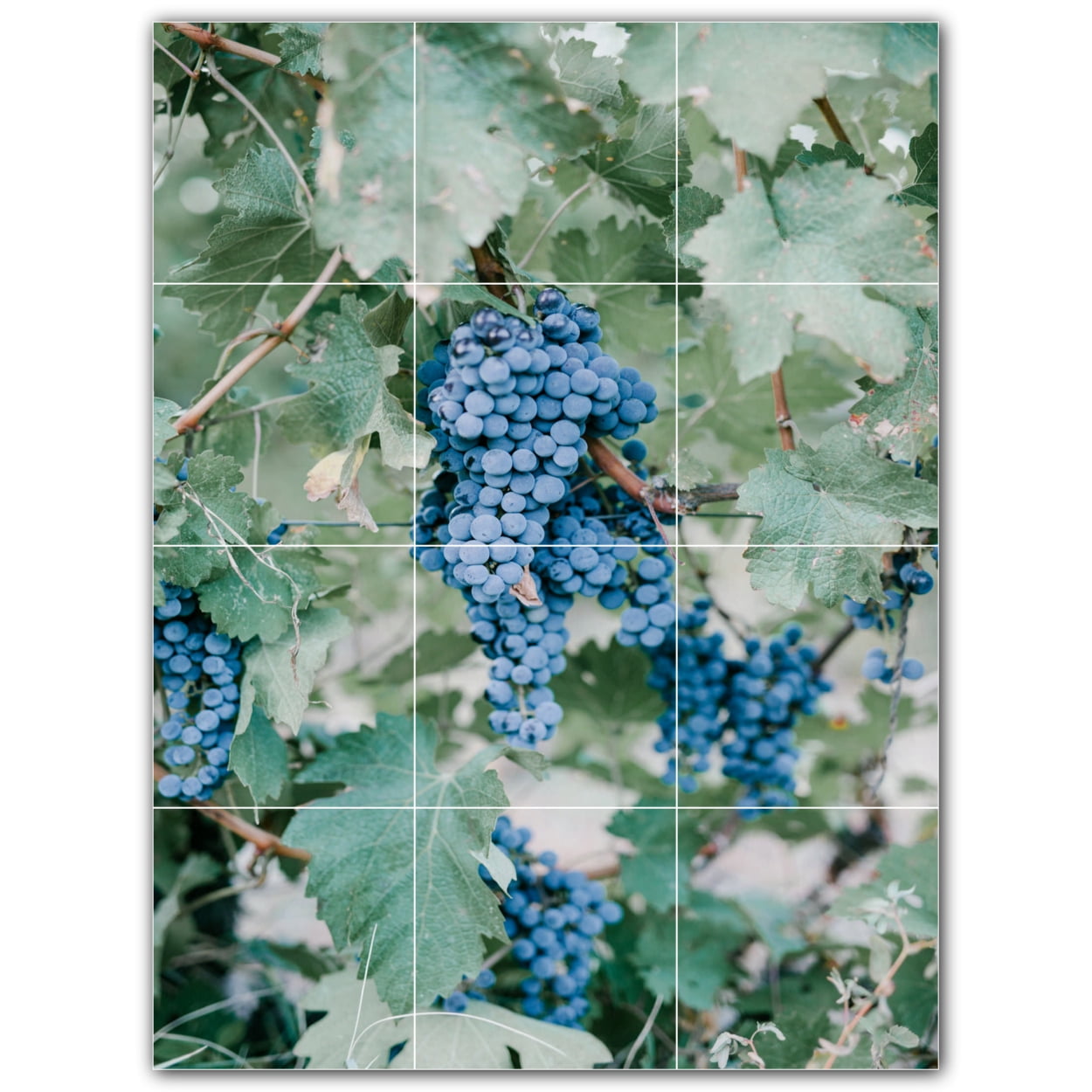 Picture-Tiles.com: Wine Ceramic Tile Wall Mural WAL501210-34L. 24"W x ...