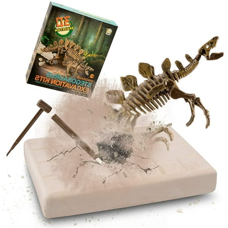 HHHC Dig Up Dinosaurs Set, Dinosaur Fossil Digging kit for Kids ...