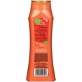 Tone Moisturizing Body Wash, Juicy Mango Scent, Cocoa Butter & Papaya ...