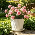 Round Plastic Planter Twill Textured Breathable Root Control Pot for ...