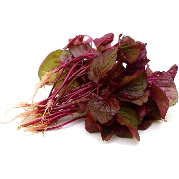 Red Spinach Seeds for Planting - 500+ Seeds - Ships from Iowa, USA ...