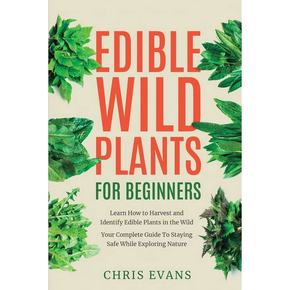 Pre-Owned Mushrooms of the upper Midwest: A Simple Guide to Common ...