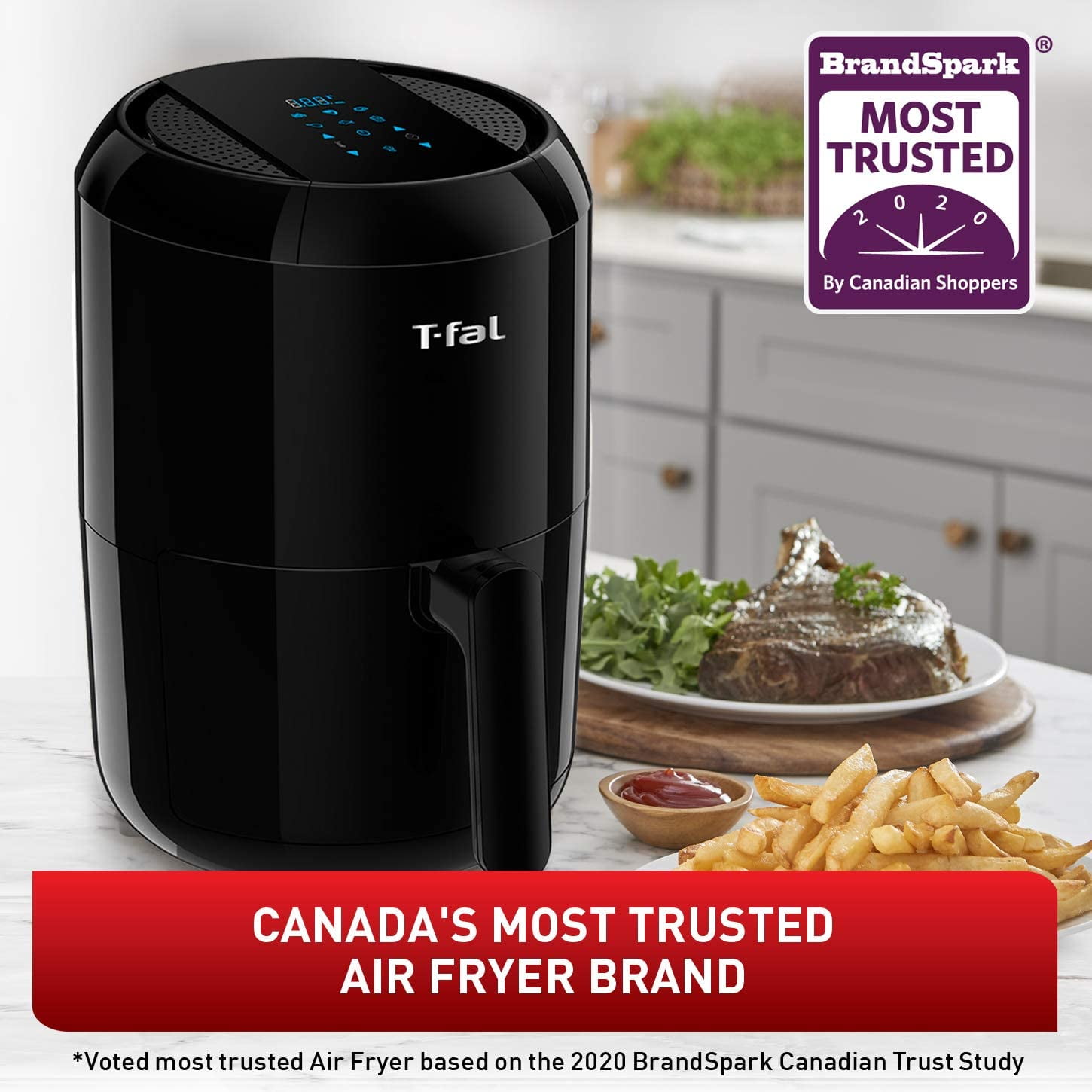 Click here for T-Fal Ey301850 Easy Fry Compact Duo Precision 1.69... prices