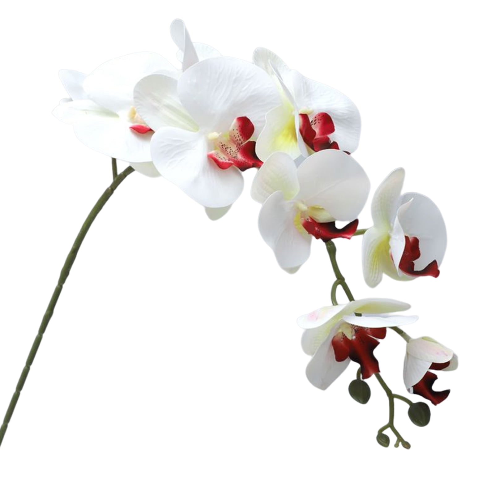 Tropical Artificial Flower Long Stem Butterfly Orchid Big Size Lifelike ...