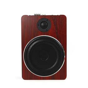 BAZOOKA BT8024DVC 8 Inch Car Audio Subwoofer Passive Tube Stereo Bass ...