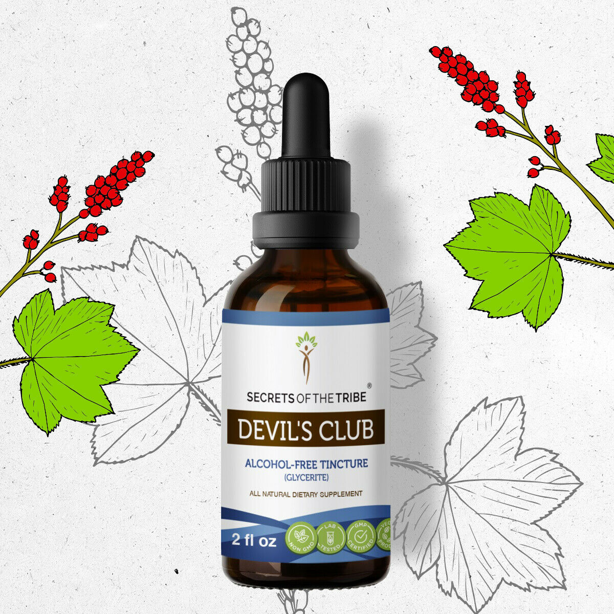 Devil's Club Tincture Alcohol-FREE Extract, Wildcrafted Oplopanax ...