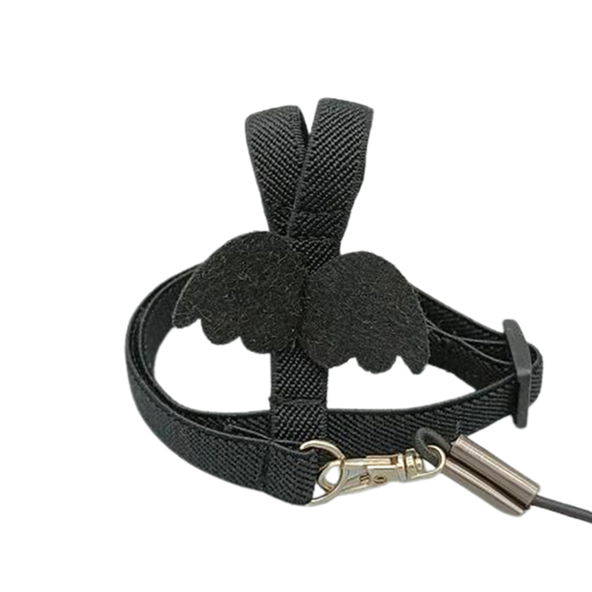 Sprifallbaby Pet Parrot Bird Harness and Leash, Adjustable Training ...