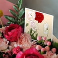 3drose, Poppy, Large Showy Flowers in Red and White with Touches of ...