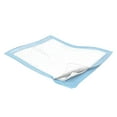 Simplicity Extra Disposable Underpad Fluff 30X30" 949B10 10 pads ...