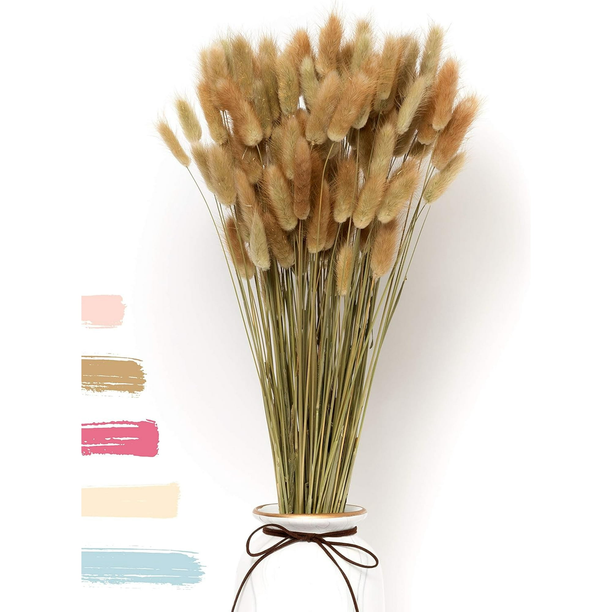 Click here for Dutchman Natural Dried Flowers  Eye-Catching Boho... prices