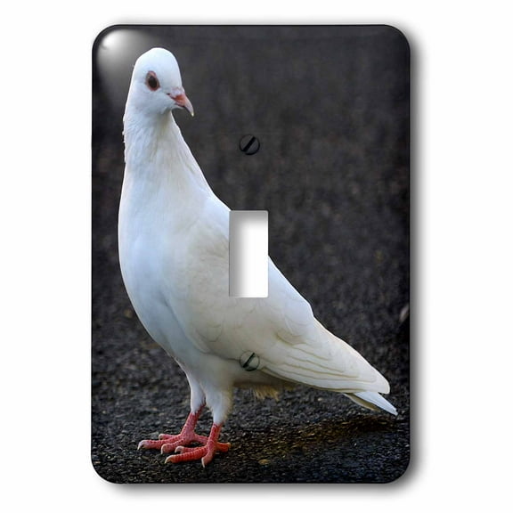 3dRose, Paris Eiffeltower Illustration With Text, single toggle switch ...