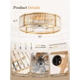 20 Inch Caged Ceiling Fan with Light, Modern Fan Chandelier, Ceiling ...