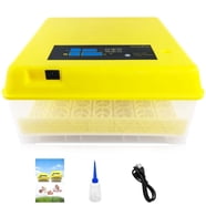 EcoGlow 20 Chick Brooder - Walmart.com