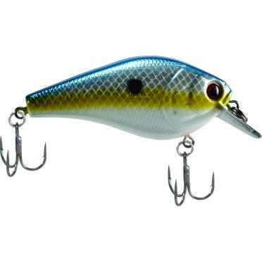 Castaic Boot Tail Freshwater Fishing Swim Bait, Rainbow Trout, 4", Soft ...