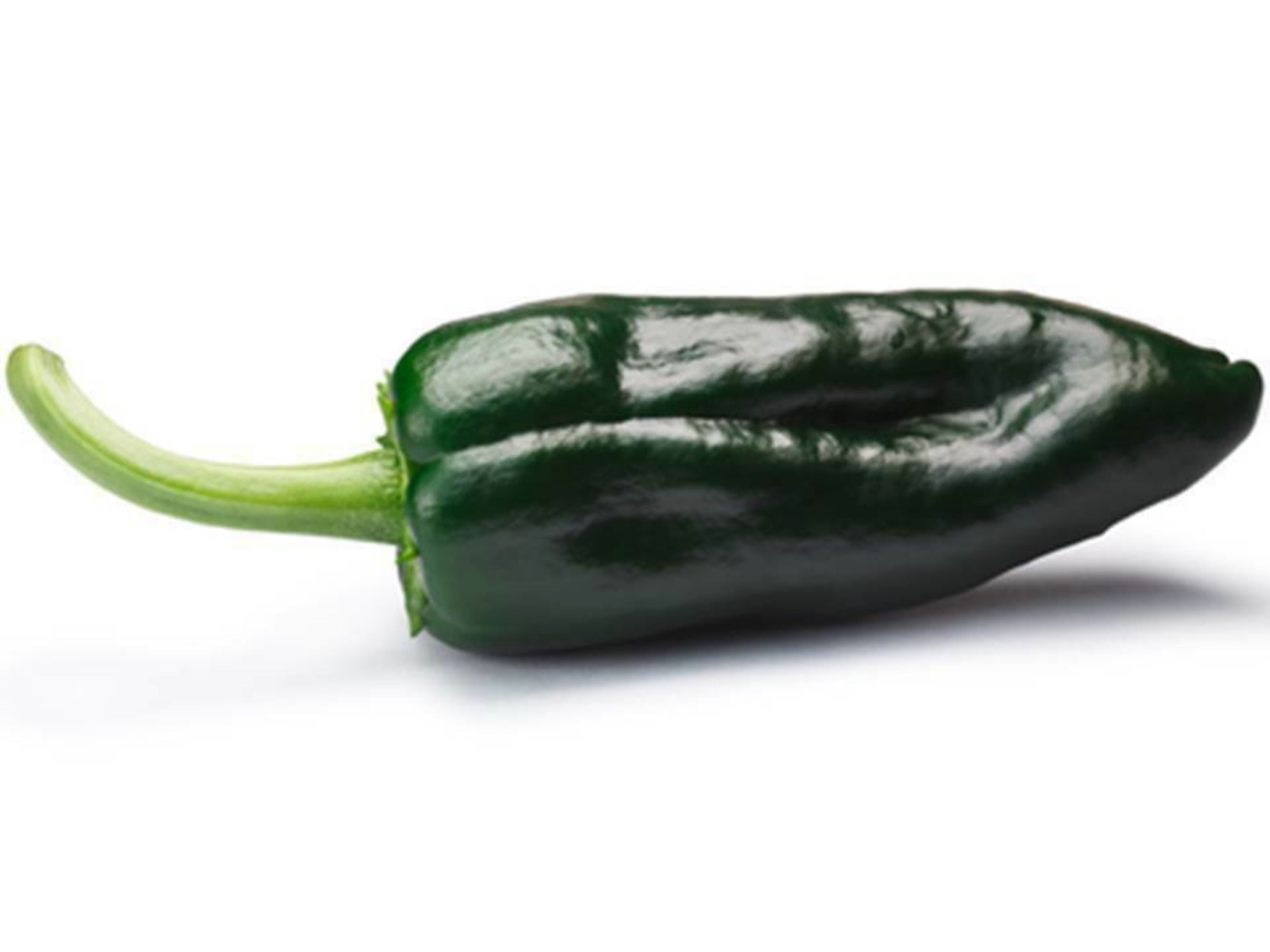 Ancho Poblano Pepper Seeds/ Perennial/ Full Sun/ 1K Seeds 1/4 oz ...