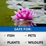 Crystal Clear Algae D-Solv, 16 Oz Liquid Algaecide, Pond Cleaner, EPA-Registered Algae Remover ...