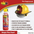 Fire Gone 16 oz Fire Extinguishing Spray - Aerosol Can -FFF-Foaming ...