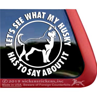 This Vehicle Has Been Lab Tested | High Quality Vinyl Labrador ...