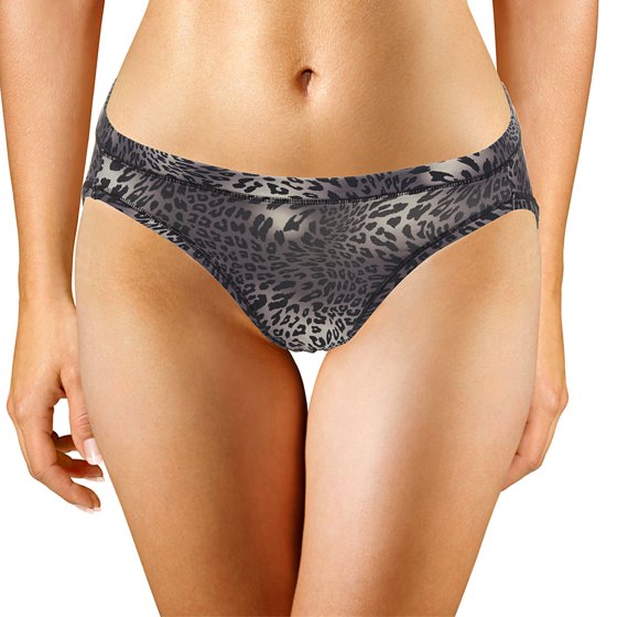 Hanes 6 Pack Hanes Premium Microfiber Briefs Panties Set For Women