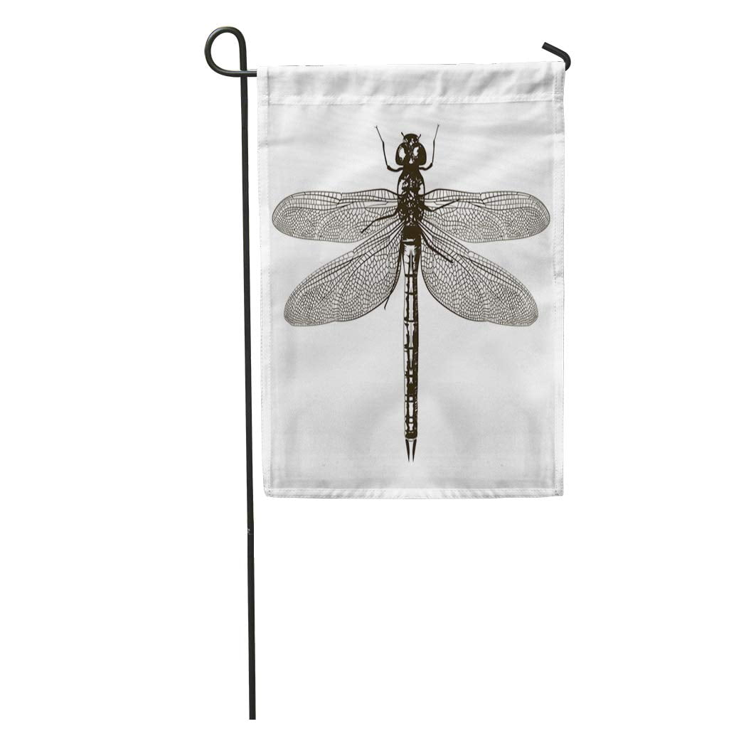 Dragonfly Wing Silhouette