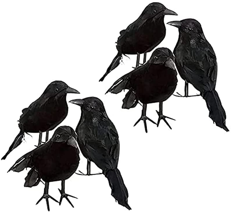 6 Pcs Fake Raven Black Feathered Crow, Realistic Crows Fake Raven for ...