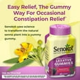 Senokot® Natural Senna Laxative* Gummies, Mixed Berry, 60 Ct HSA/FSA ...
