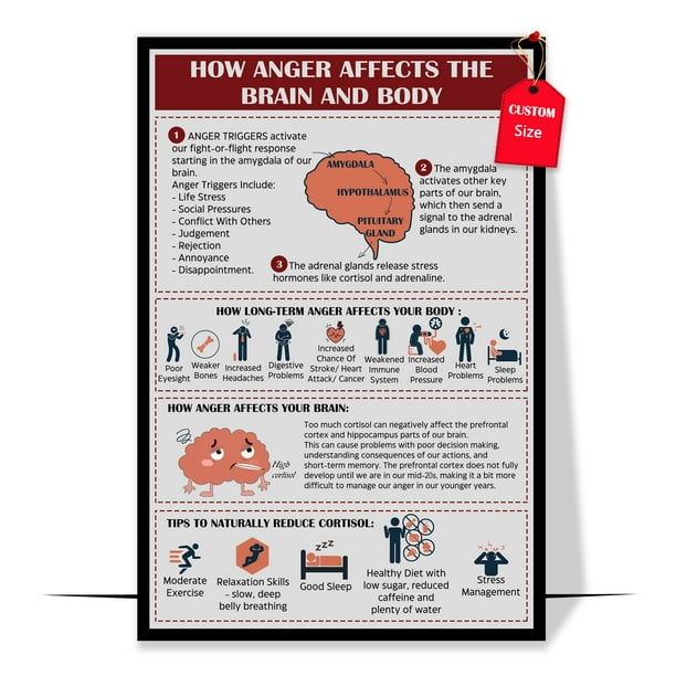 LOLUIS How Anger Affects The Brain and Body Poster, Anger Poster for ...